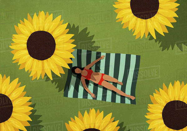 Woman in bikini sunbathing on blanket among large sunflowers - Stock ...