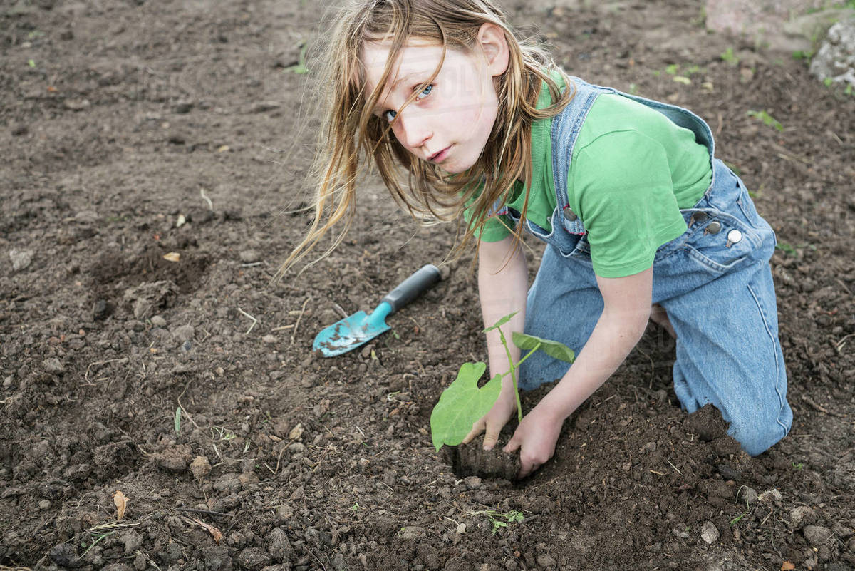 Portrait girl planting seedling in garden dirt - Royalty-free Stock ...