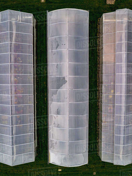 Aerial view from above sloped greenhouse roofs, Germany - Stock Photo ...