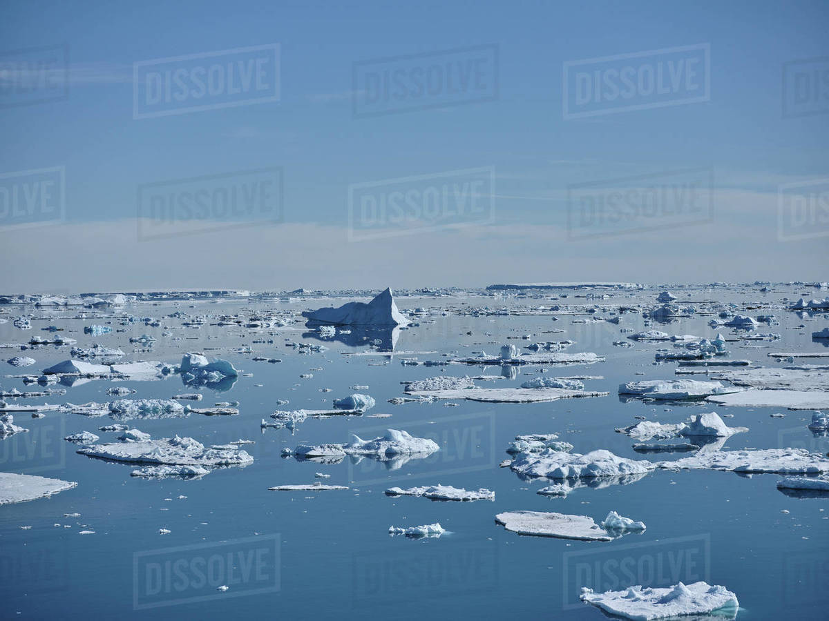 Melting glacial ice chunks floating on sunny ocean surface, Antarctic ...