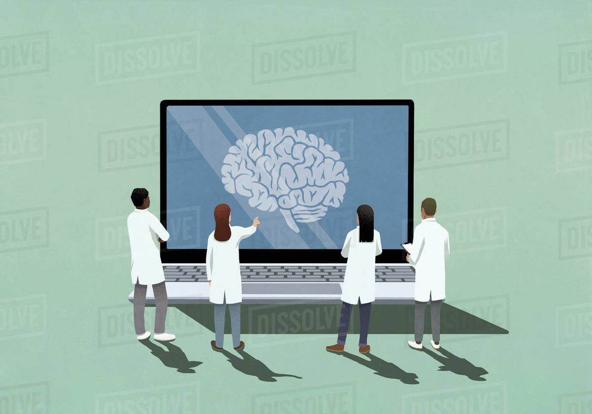 Neuroscientists looking at brain image on laptop screen - Stock Photo ...