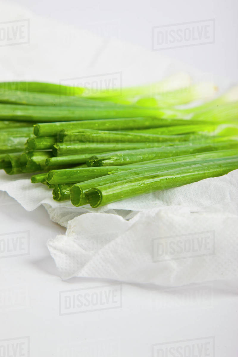 Wet Spring Onions Stalks on White Paper - Royalty-free Stock Photo ...