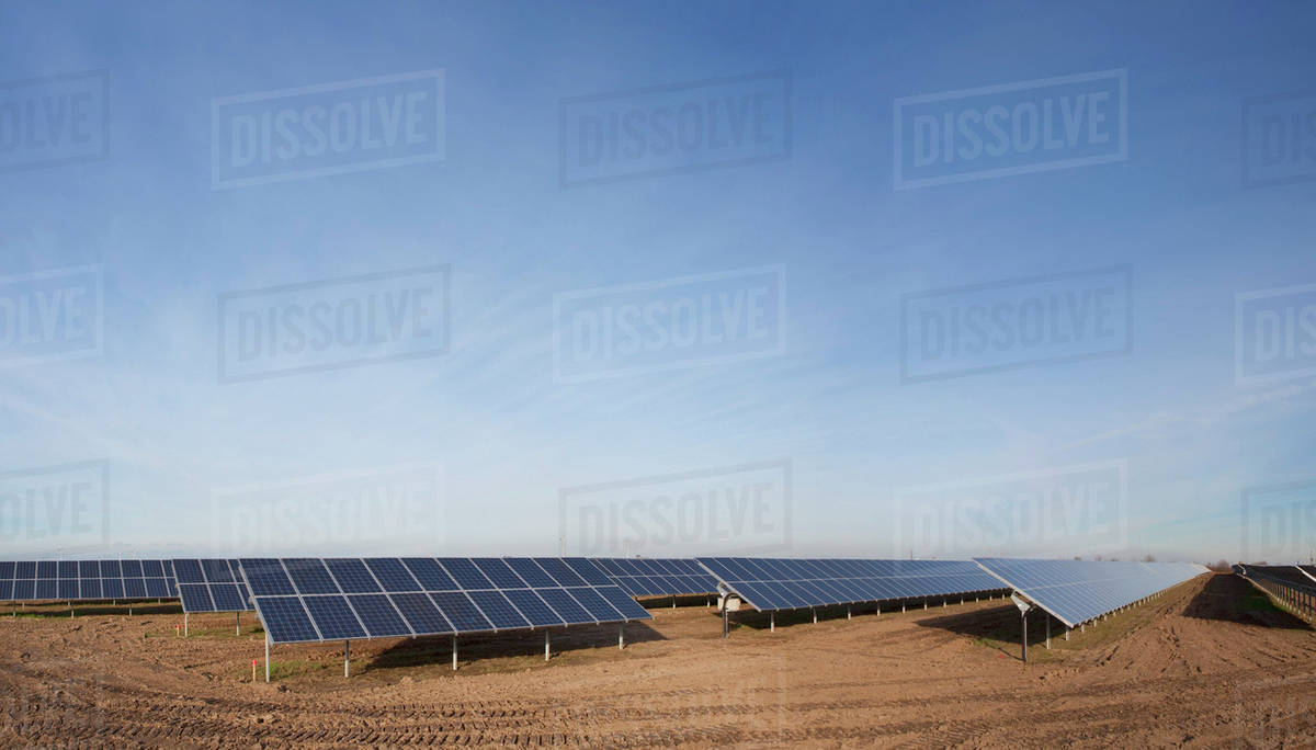 Solar panels in a field - Royalty-free Stock Photo | Dissolve